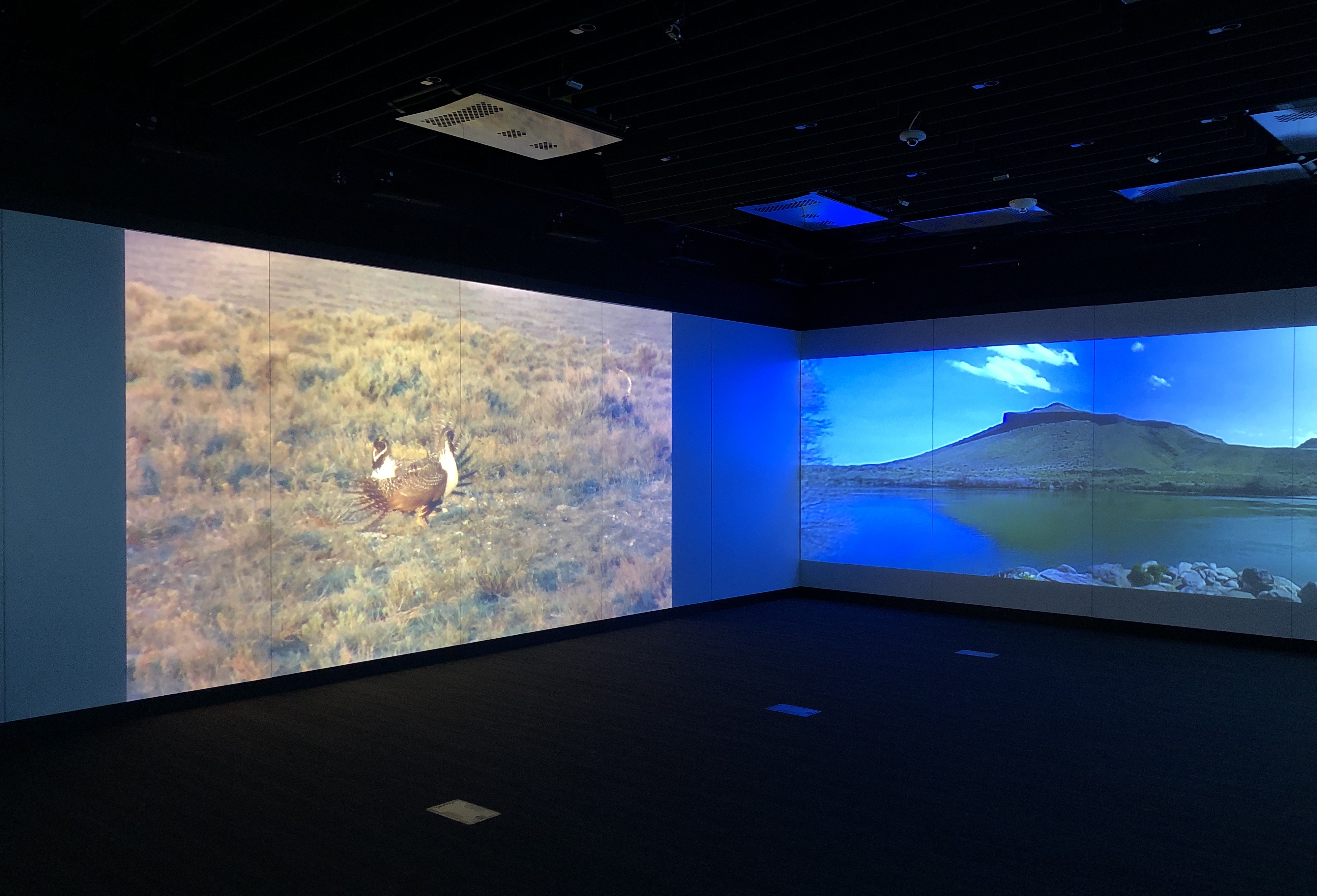 Earth Day Exhibition: Stein Luminary – Brie Schettle Studio